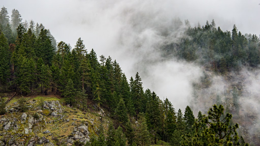 Misty Ridge – Low Key – Allan J Jones Photo Blog