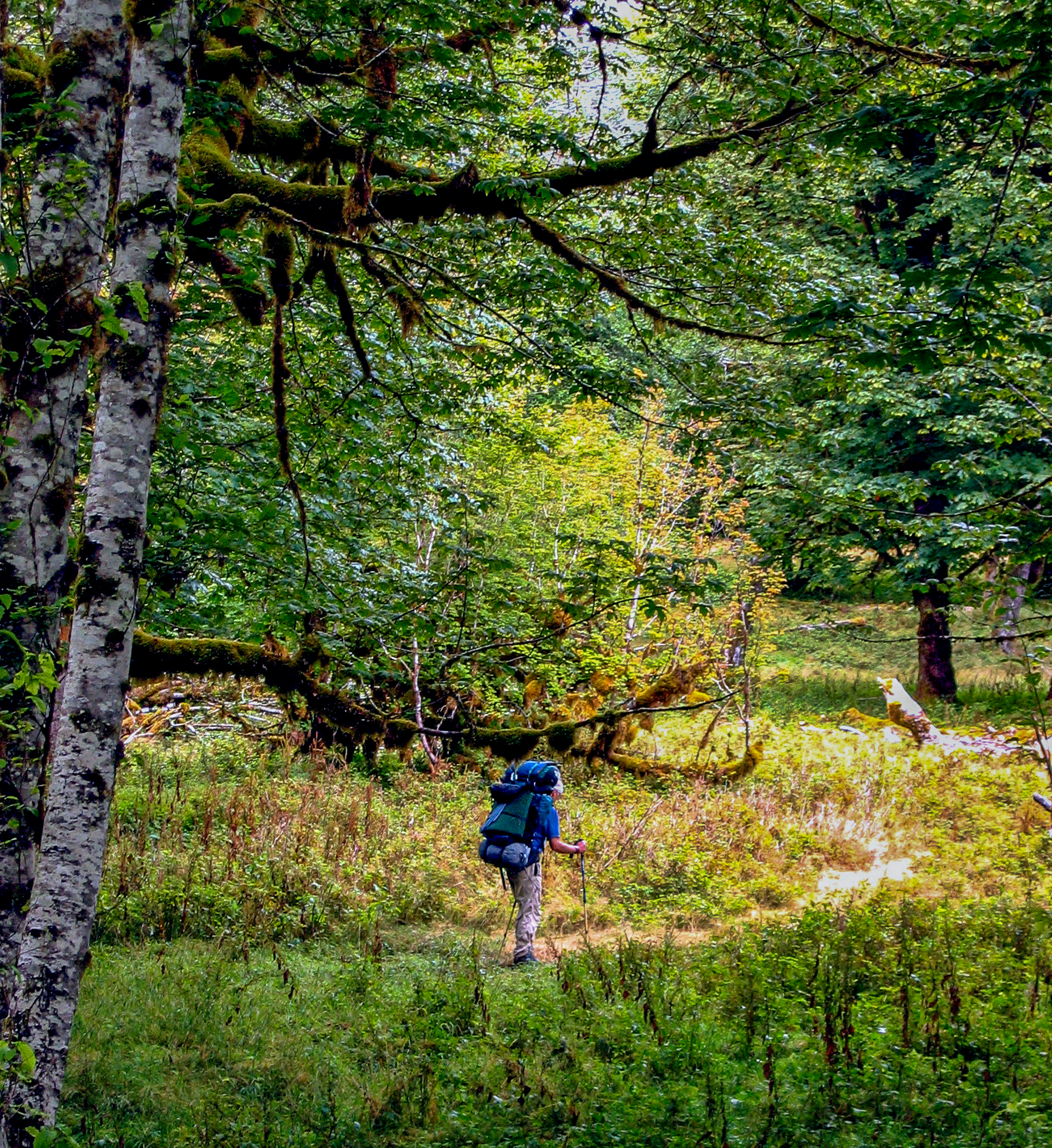 Enchanted Valley Trail – Allan J Jones Photo Blog